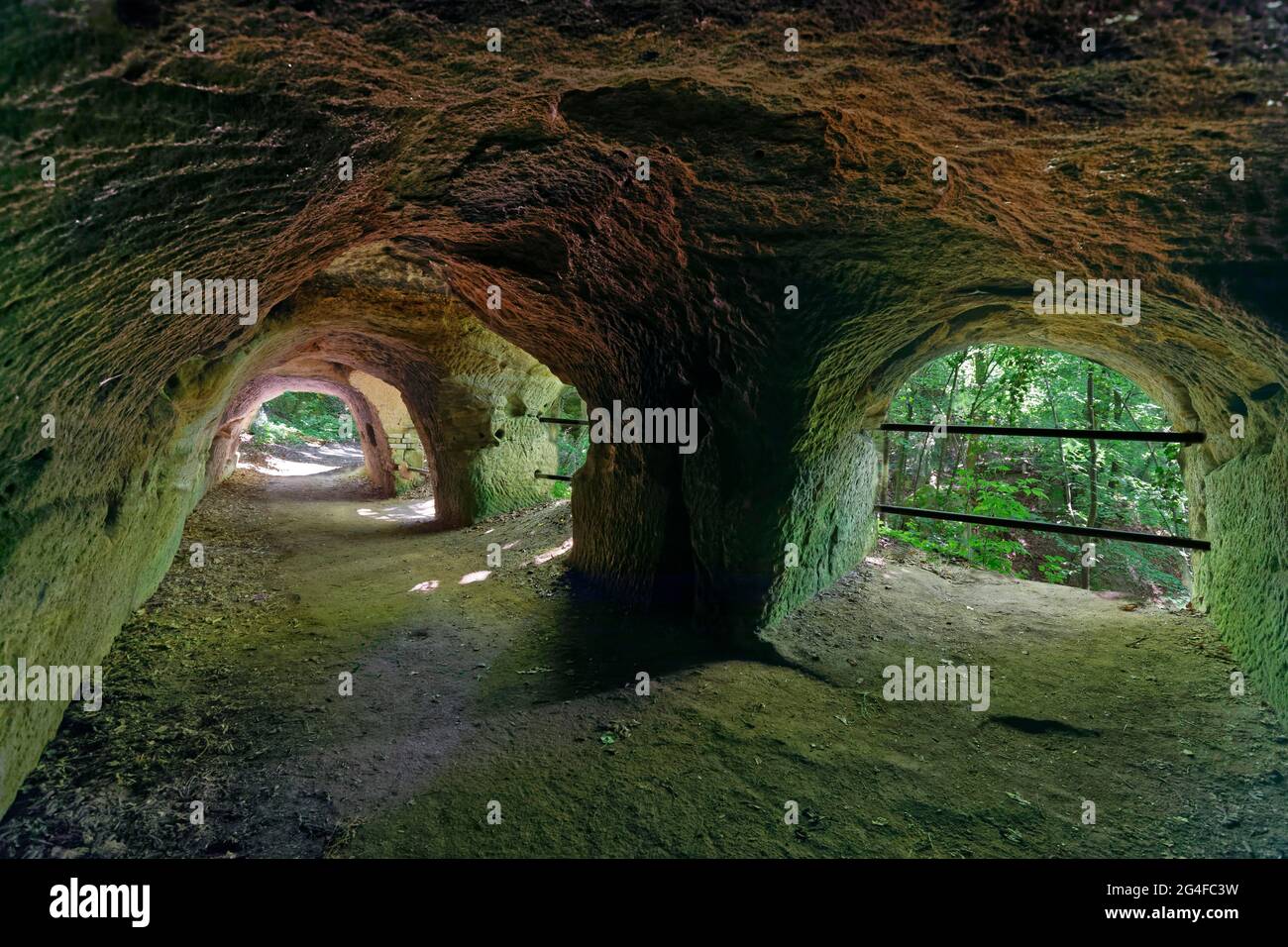 Lions den gallery hi-res stock photography and images - Alamy