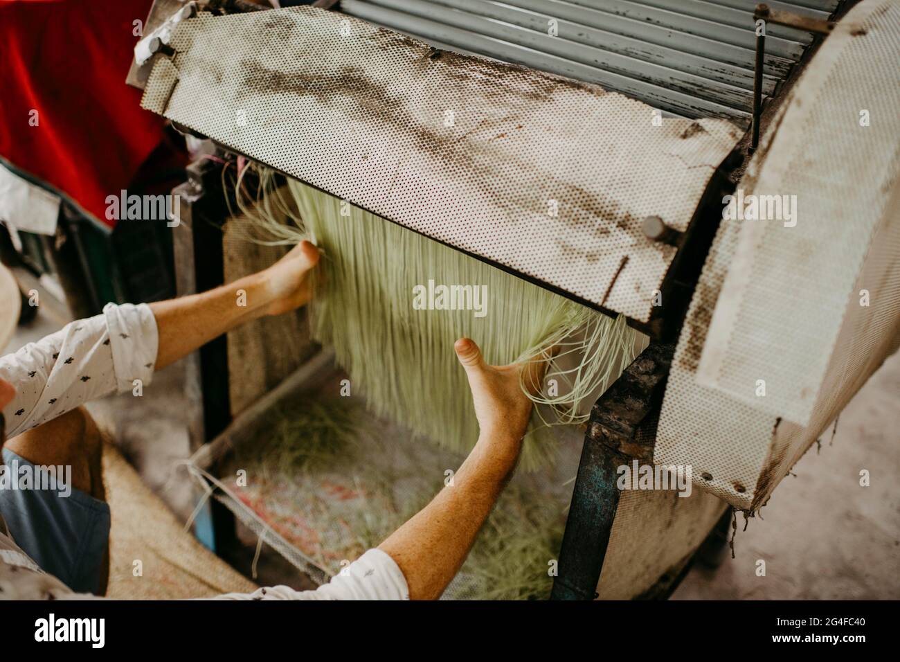 Making rice noodles Stock Photo - Alamy