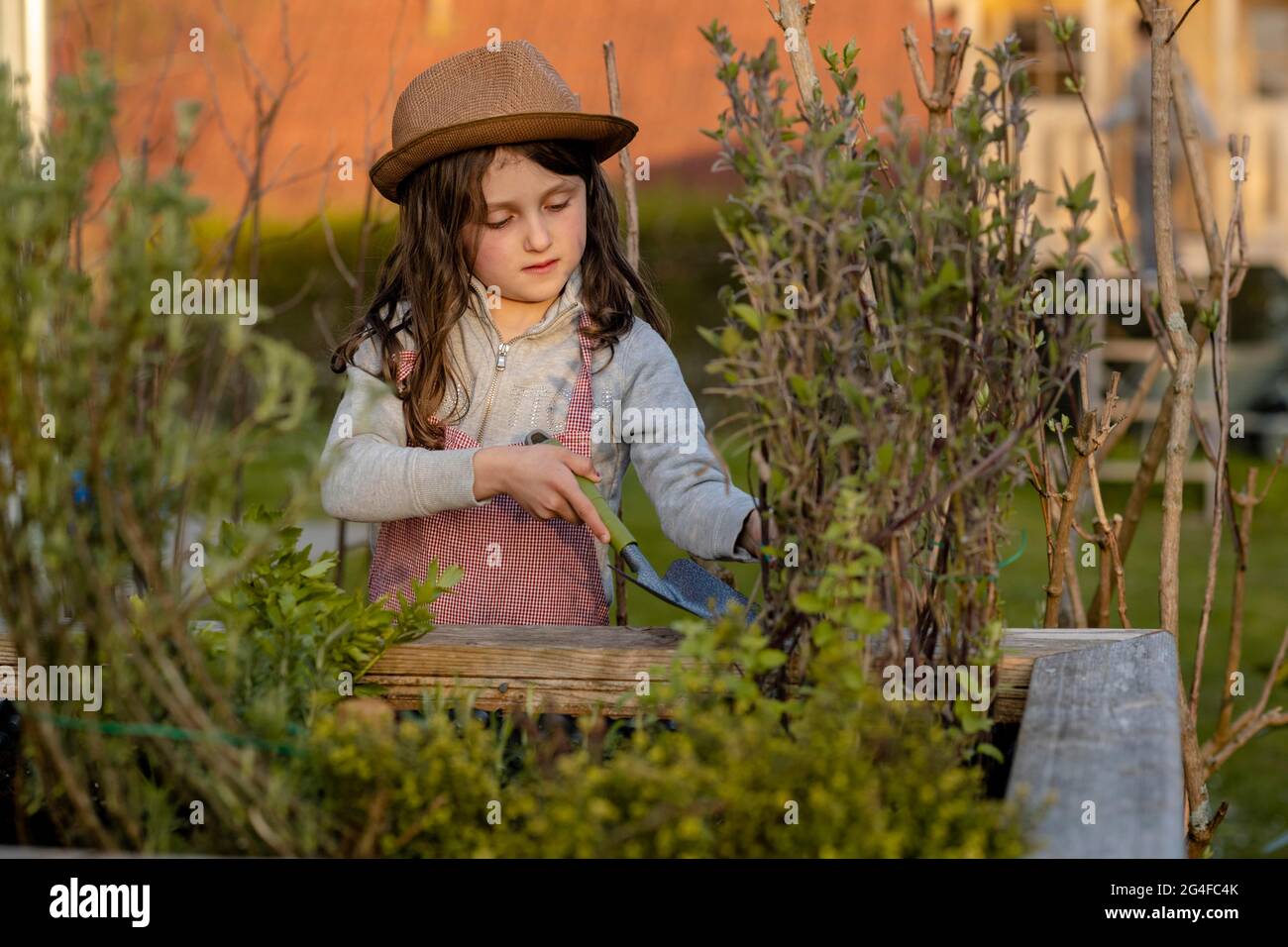 Child working on raised bed Stock Photo - Alamy