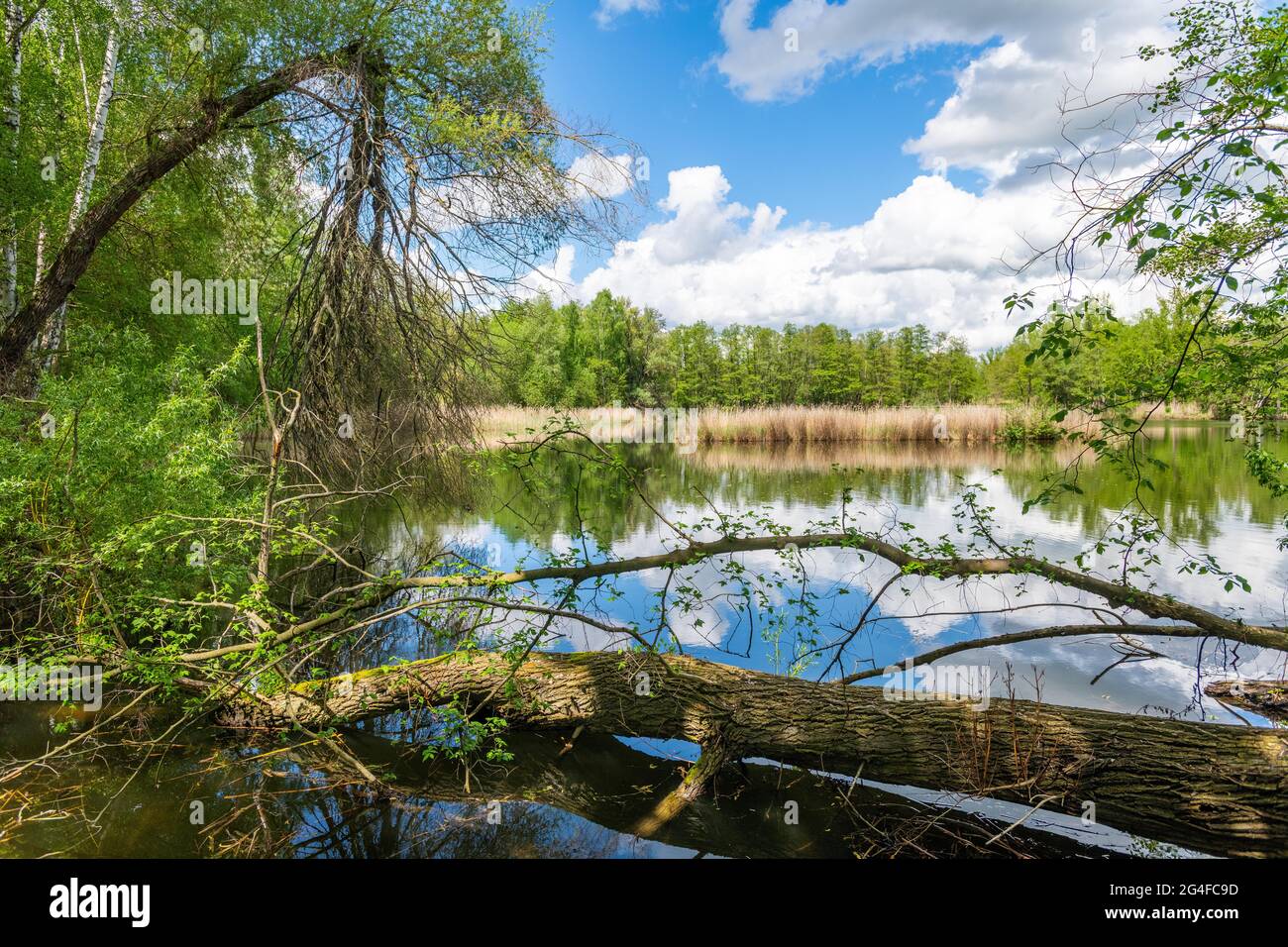 Deetz ponds hi-res stock photography and images - Alamy