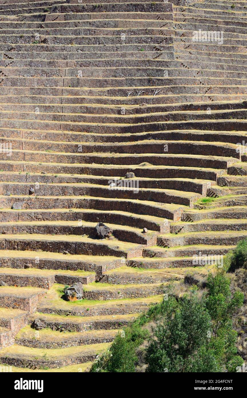 Walled terraces in the Inca ruins, detail, Pisac, Cusco region ...