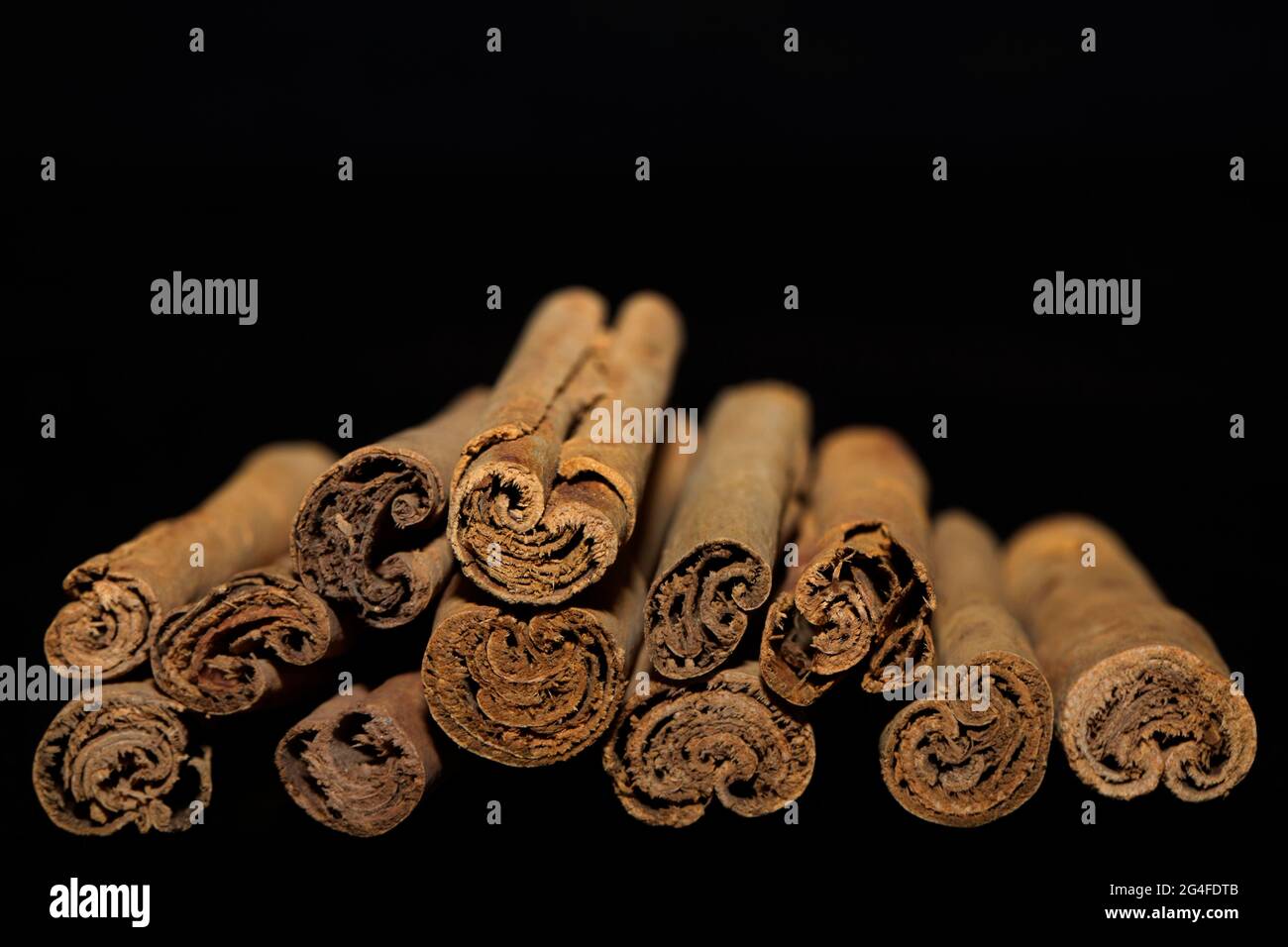 Ceylon cinnamon plant hi-res stock photography and images - Alamy