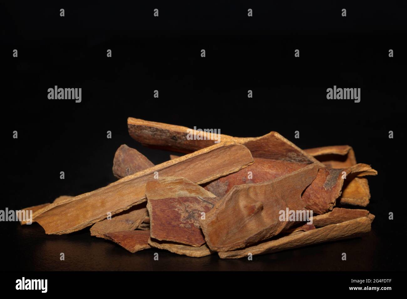 Chinese cinnamon (Cinnamomum cassia) bark, Germany Stock Photo - Alamy