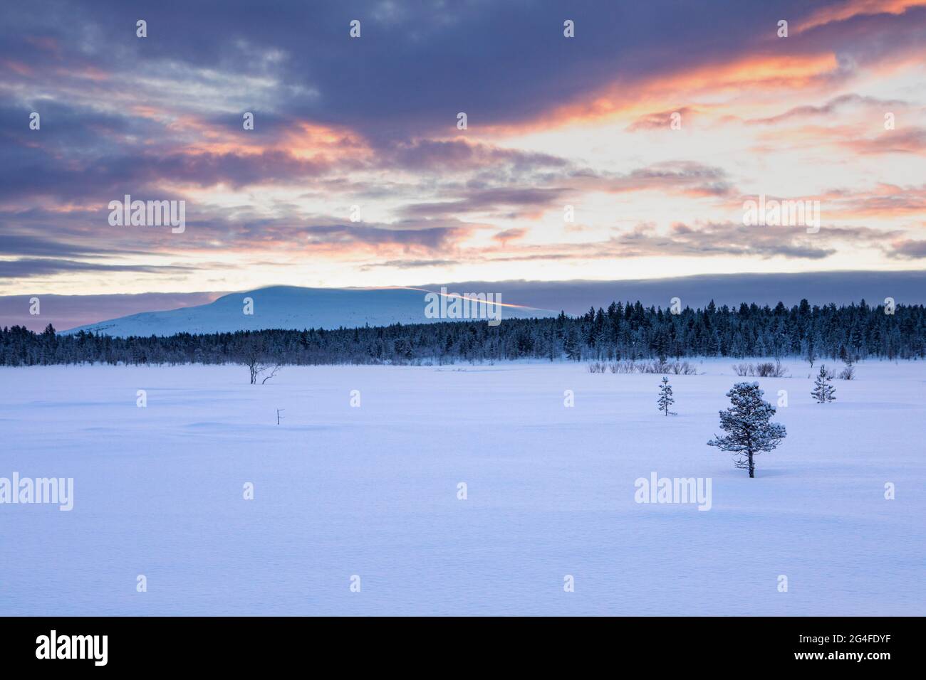 Hetta hi-res stock photography and images - Alamy