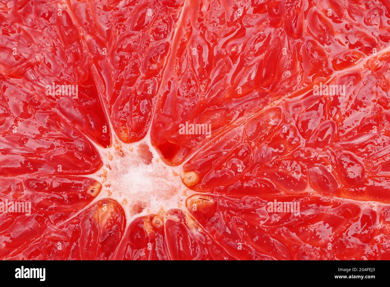 Macro of ripe grapefruit pulp. Slice of red grapefruit close up ...