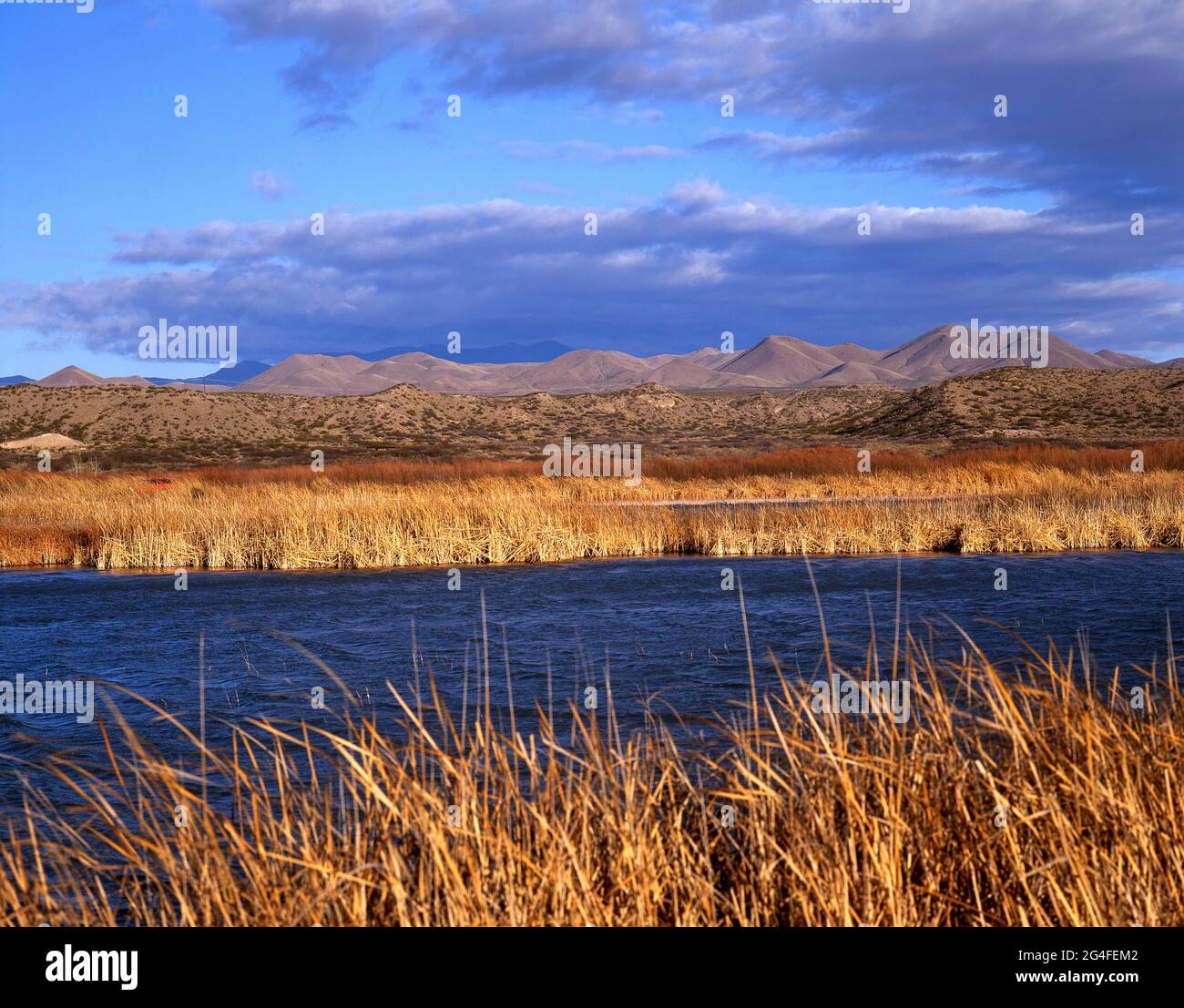 Bosque del apache national wildlife reserve hi-res stock photography ...