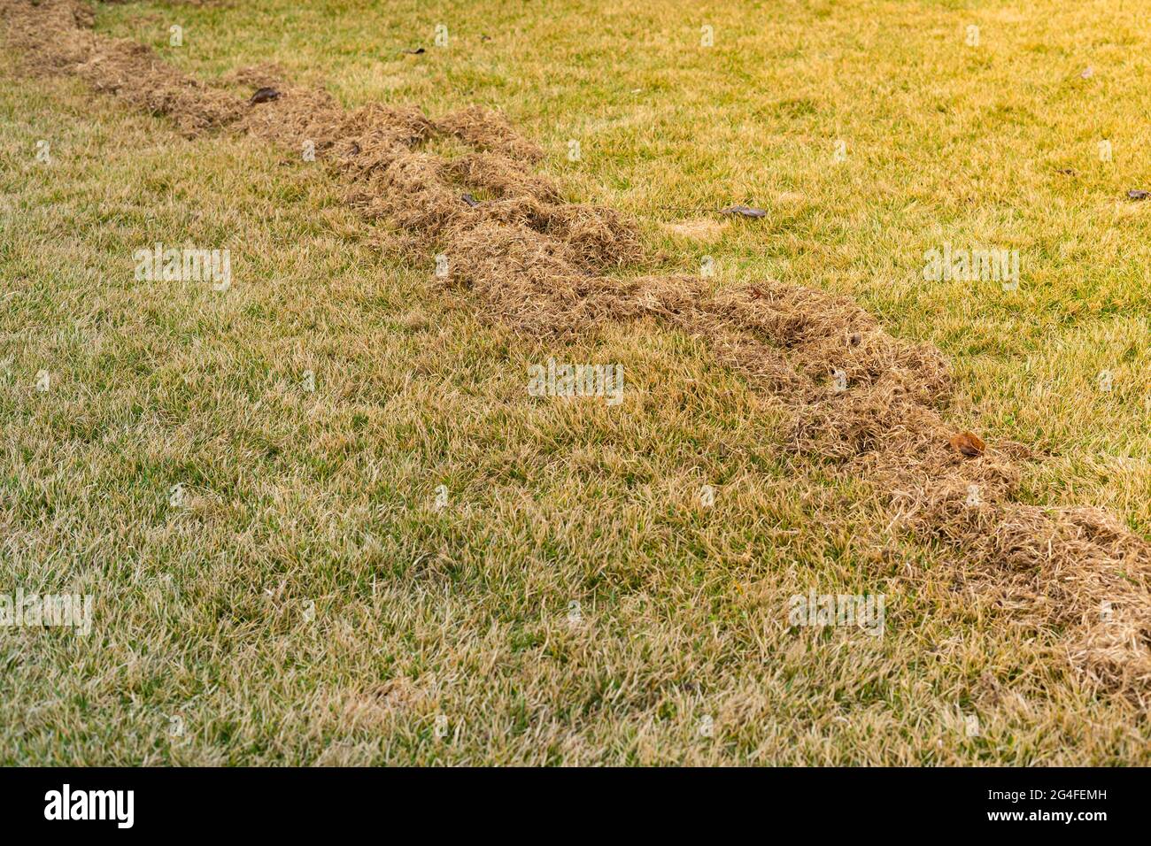 Rotten Grass High Resolution Stock Photography and Images - Alamy