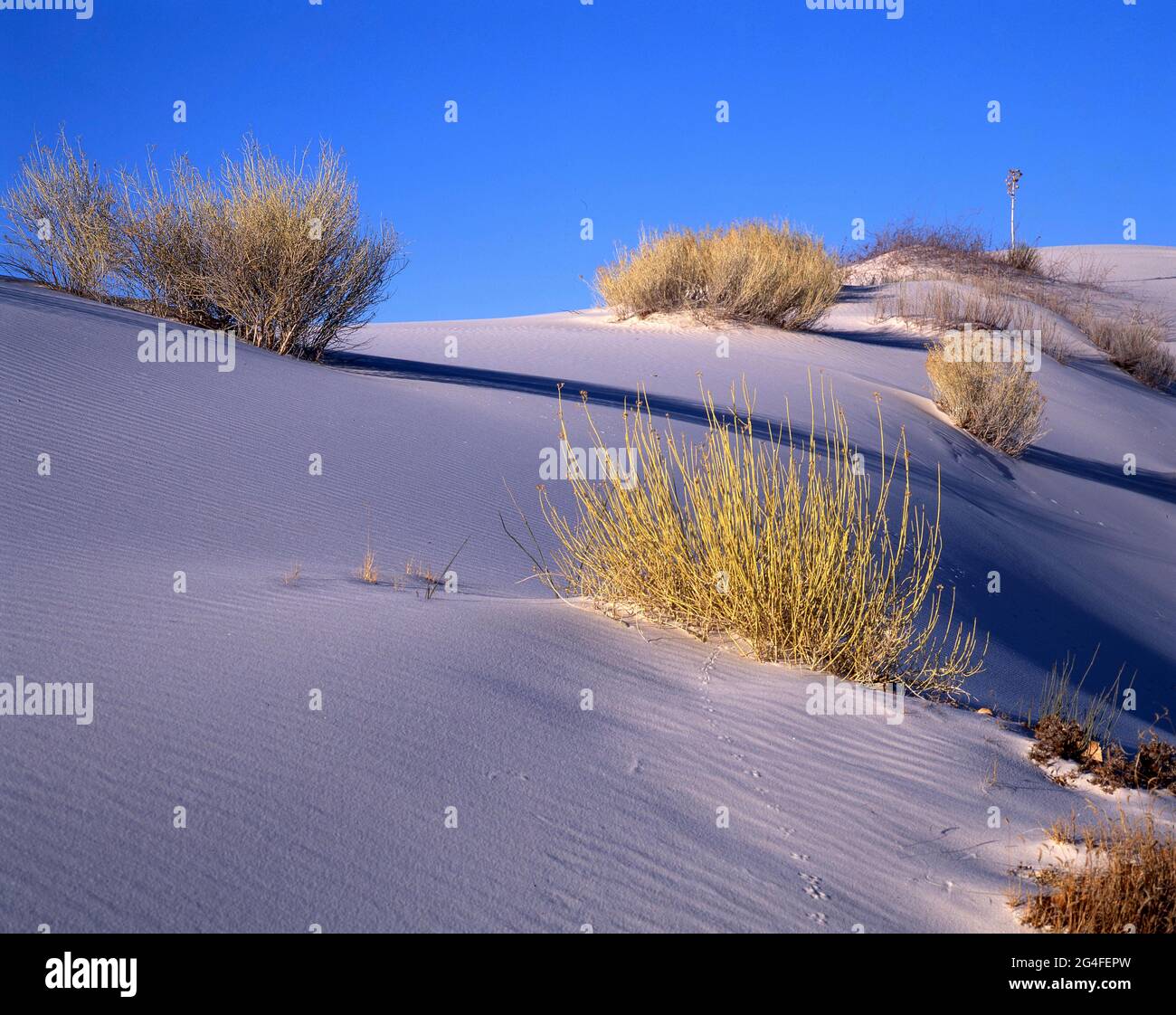 White sands Gypsum Desert National Park, New Mexico, USA Stock Photo ...