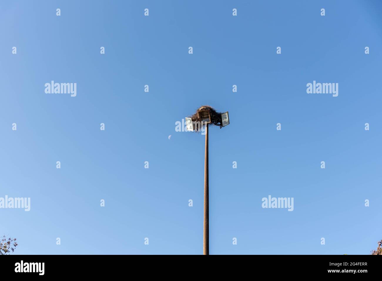 Kuban stadium hi-res stock photography and images - Alamy