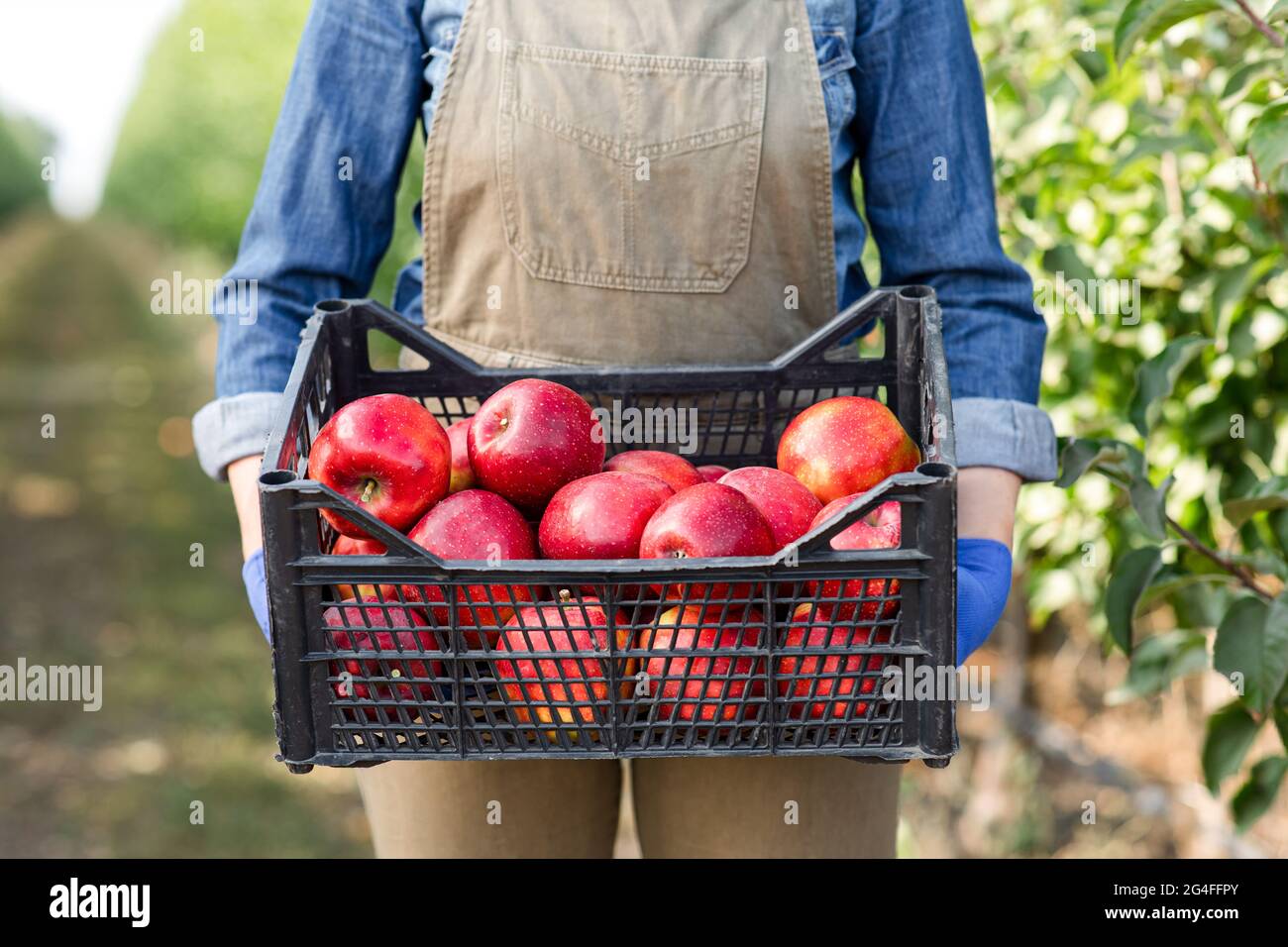 Work products hi-res stock photography and images - Alamy