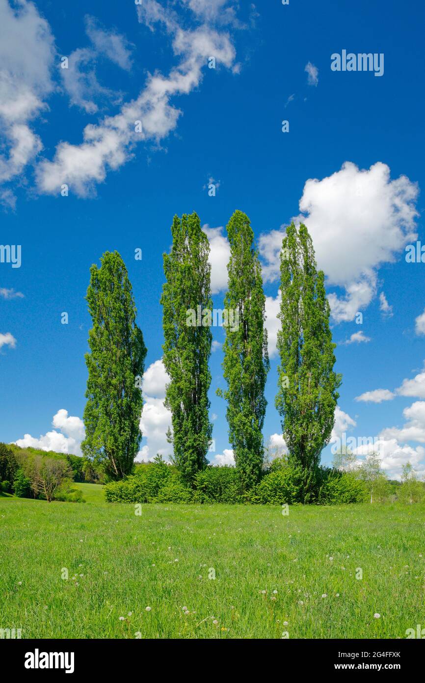 Big four group hi-res stock photography and images - Alamy