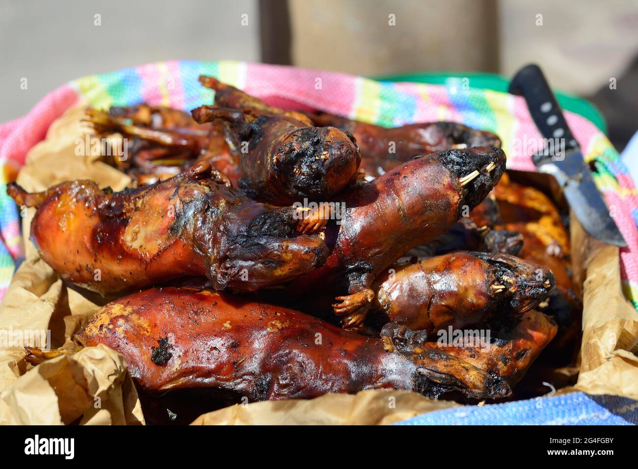 Grilled guinea pigs at a stall at the Inti Raymi, Festival of the Sun ...