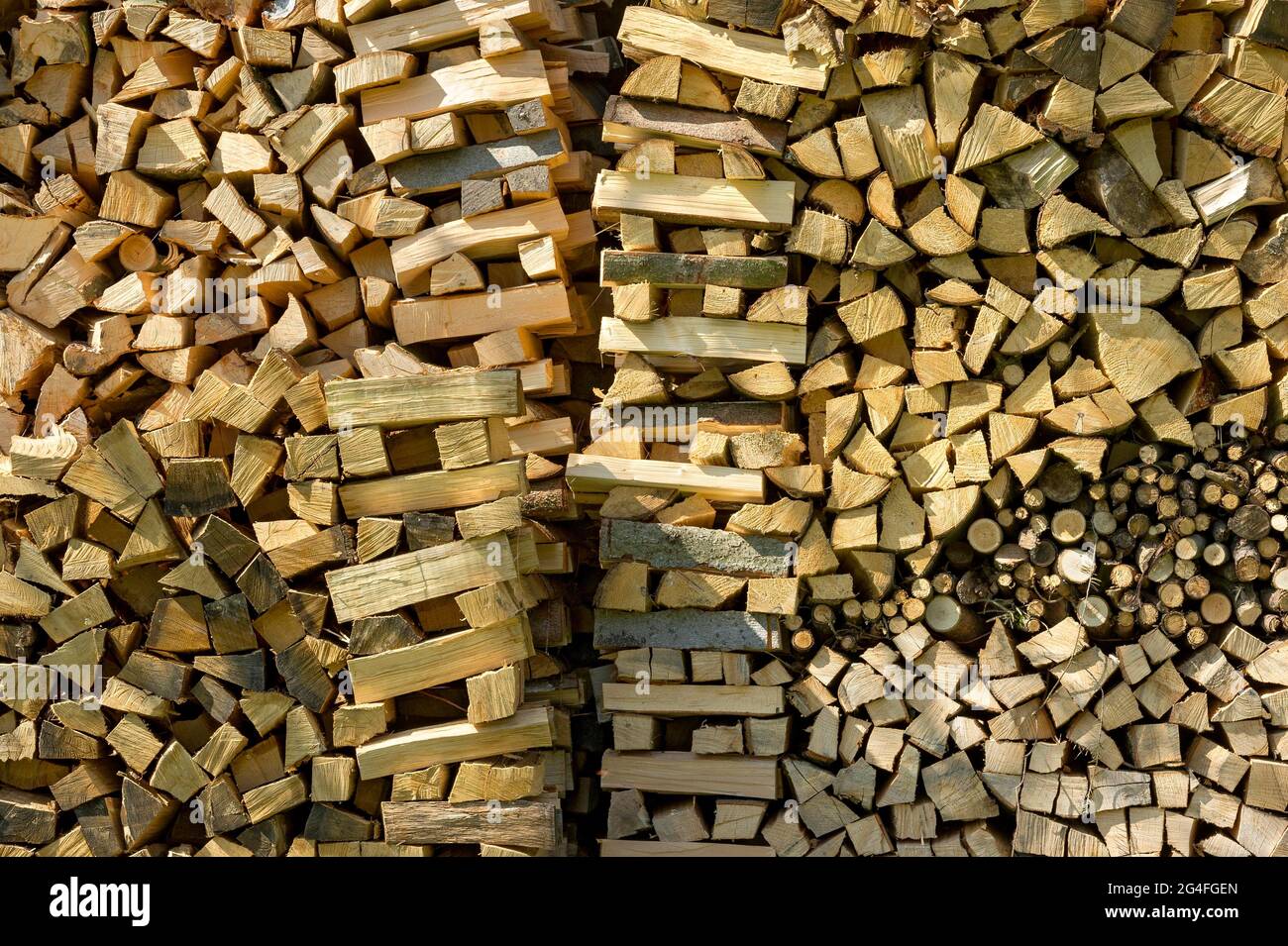 Stacked logs, firewood, wood stack stabilized against collapse, Germany ...
