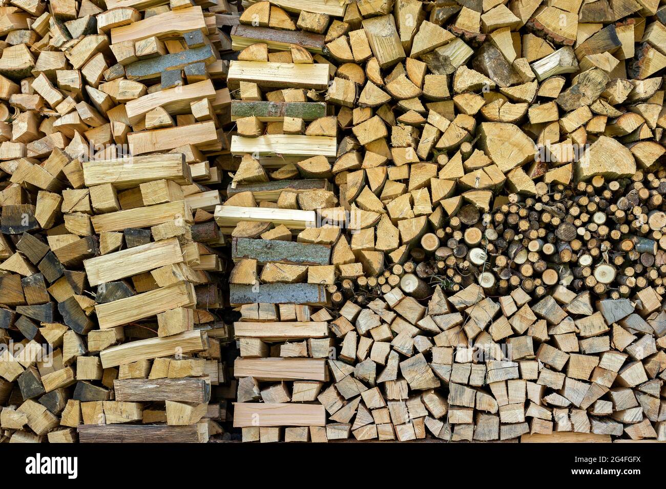 Stacked logs, firewood, wood stack stabilized against collapse, Germany ...