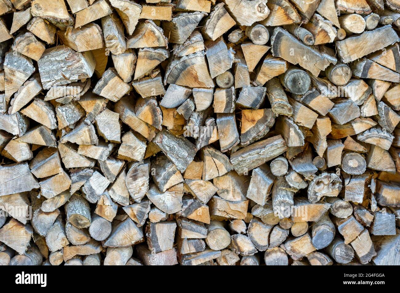 Stacked old logs, firewood, wood pile, Germany Stock Photo - Alamy