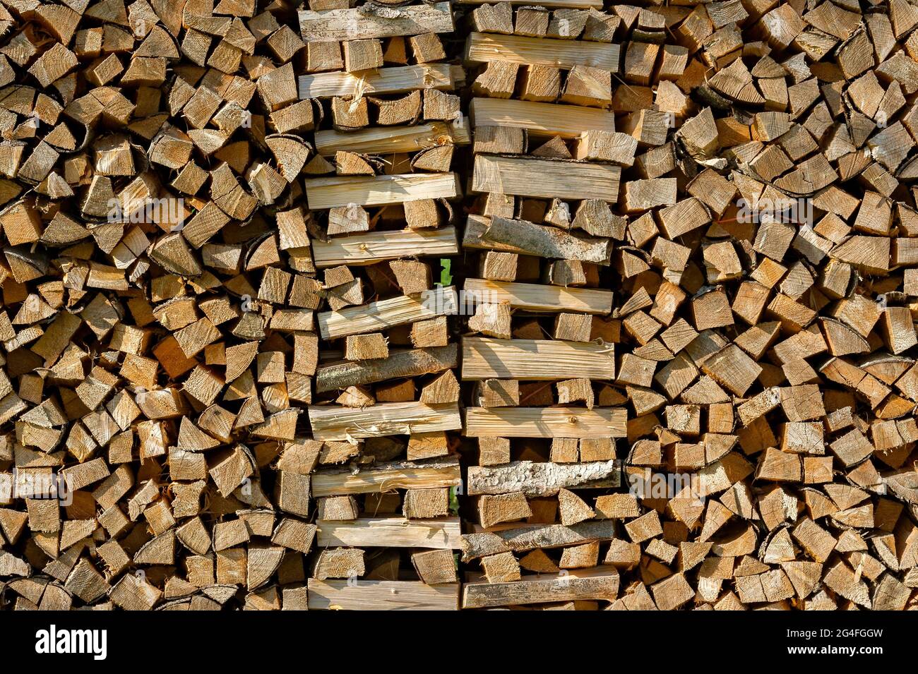 Stacked logs, firewood, wood stack stabilized against collapse, Germany ...