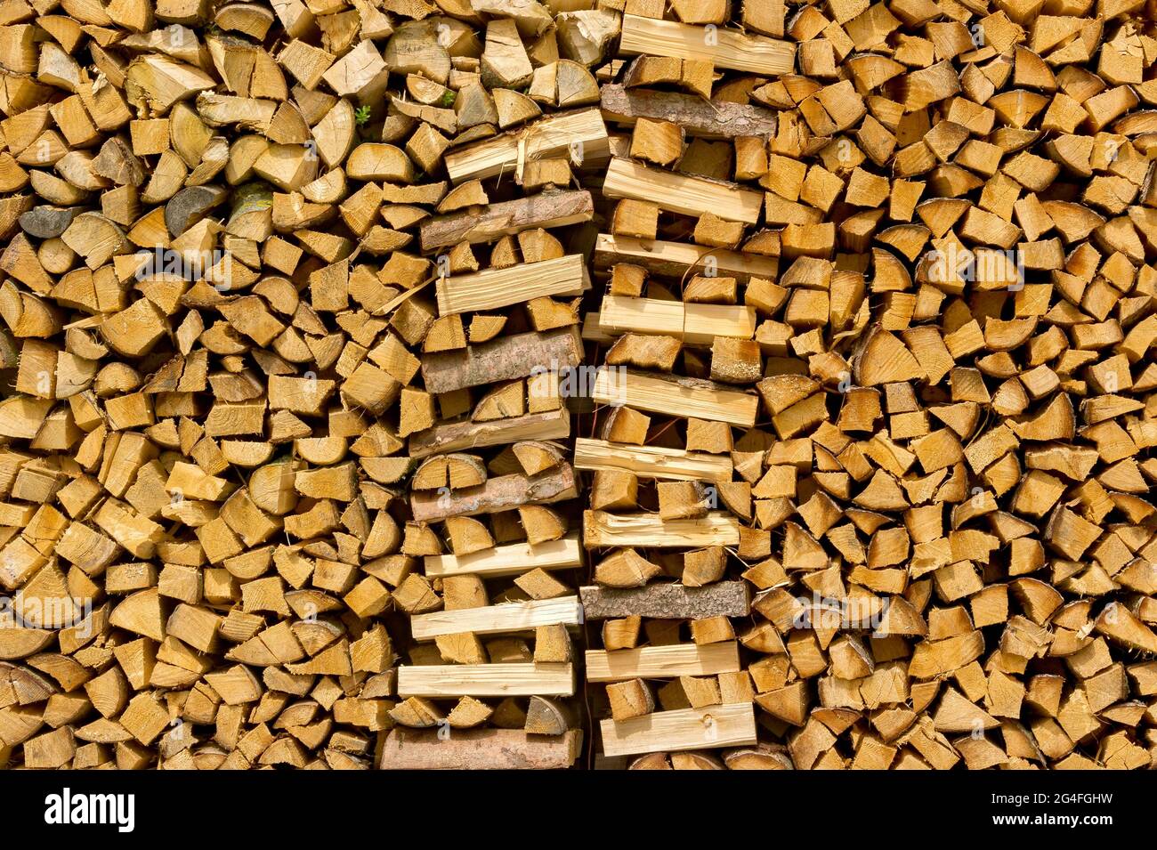 Stacked logs, firewood, wood stack stabilized against collapse, Germany ...