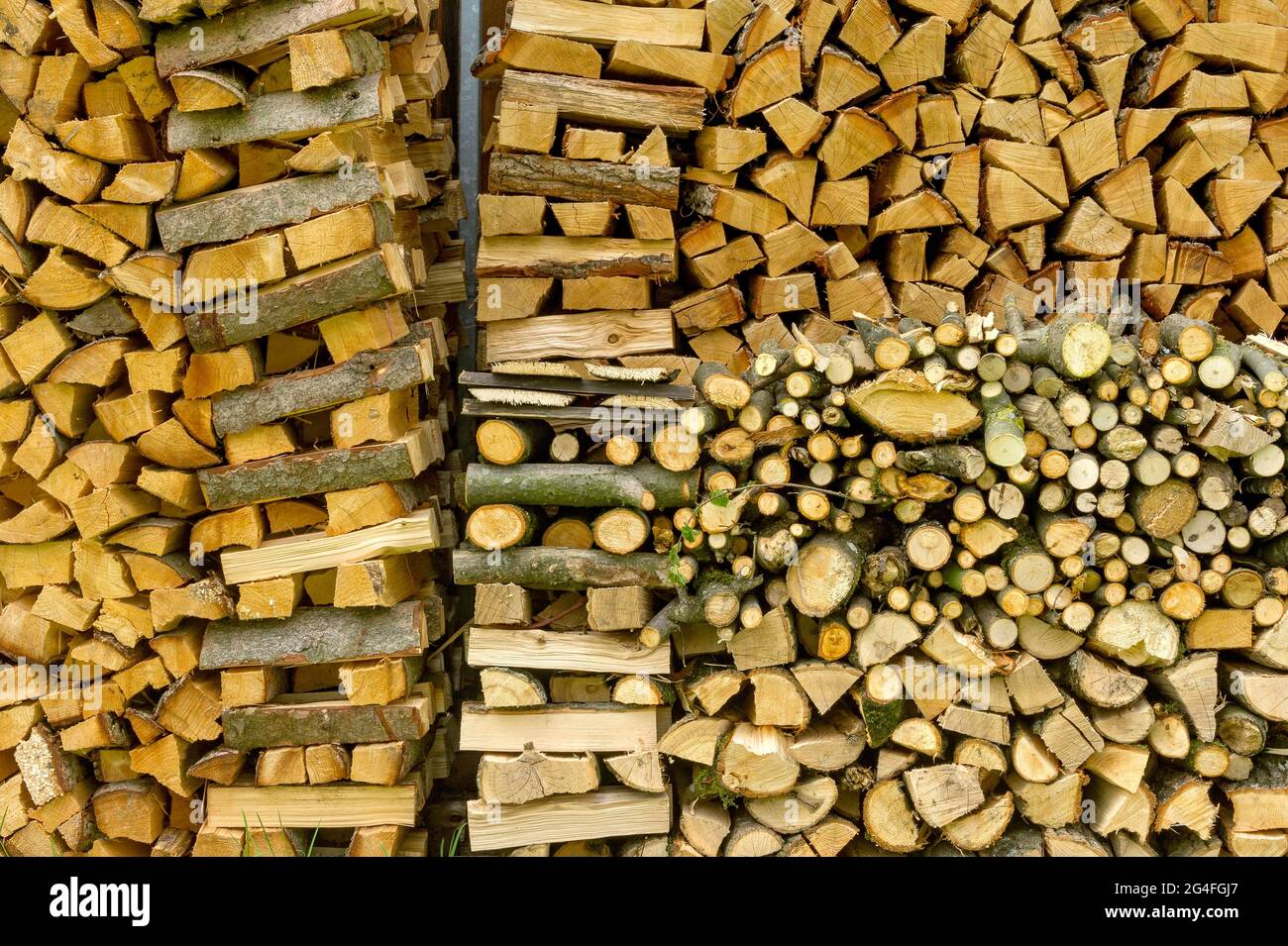 Stacked fresh logs, firewood, wood stack stabilized against collapse ...