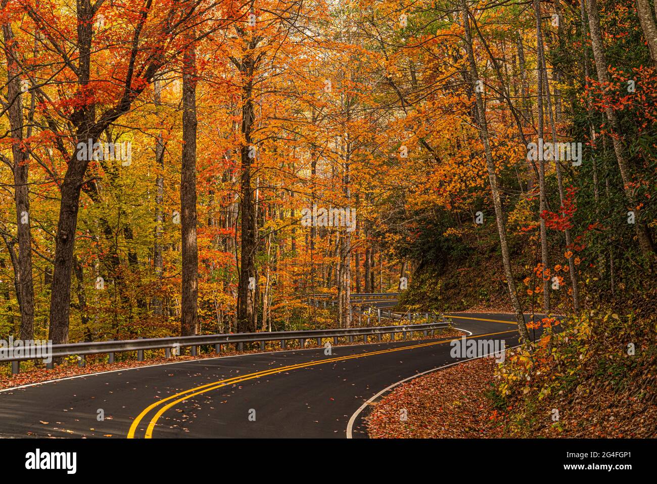 Autumn leaves on the highway Stock Photo - Alamy
