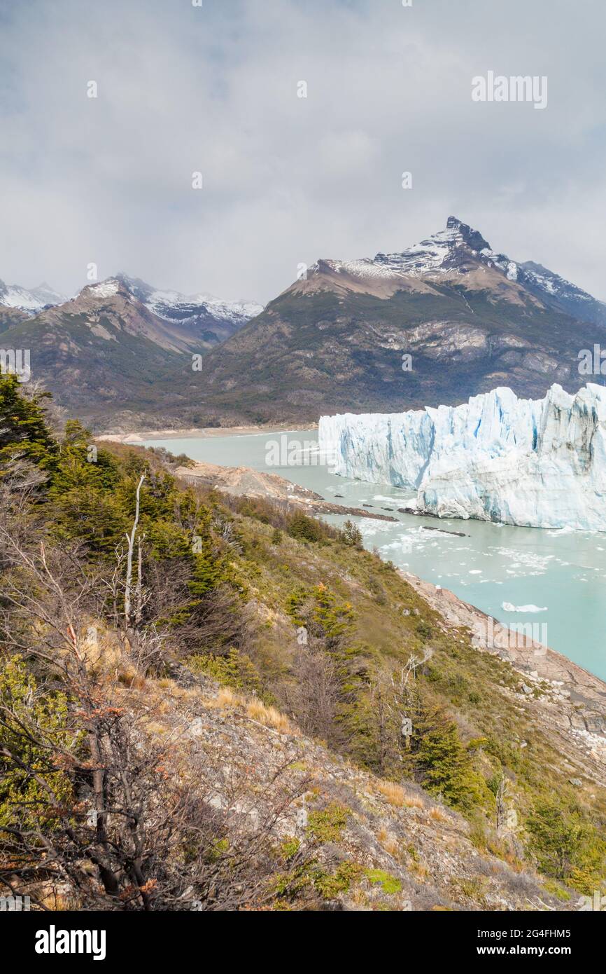 Perito Moreno glacier, Argentina Stock Photo - Alamy