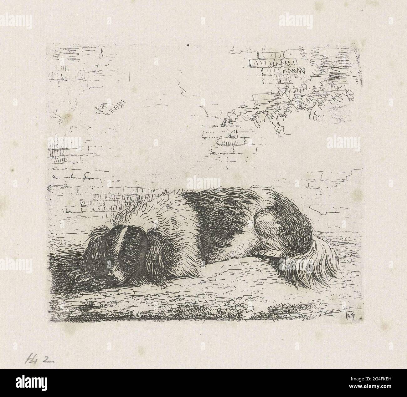 . A horizontal dog, to the left, for a wall Stock Photo - Alamy