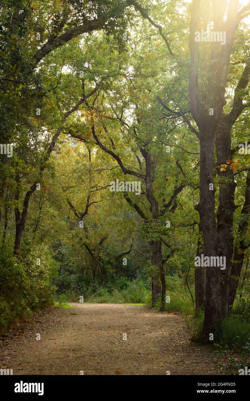 Reserva natural de can cata hi-res stock photography and images - Alamy