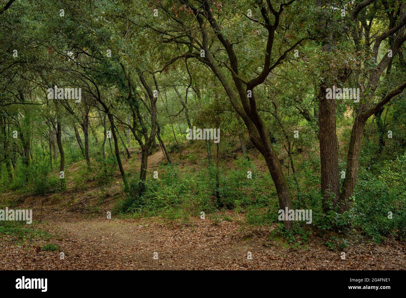 Reserva natural de cataluña hi-res stock photography and images - Alamy