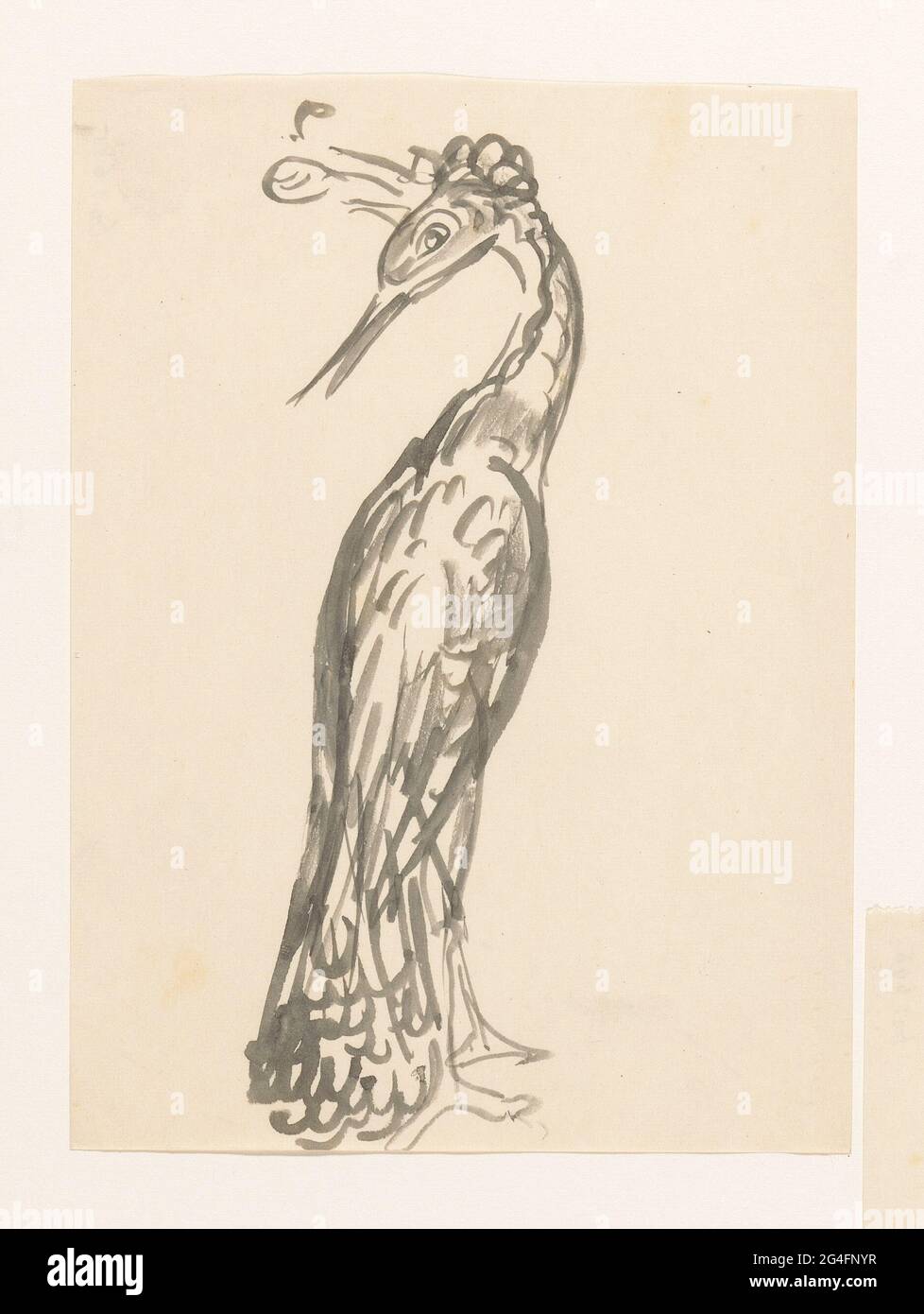 Sketch of a heron Stock Photo - Alamy