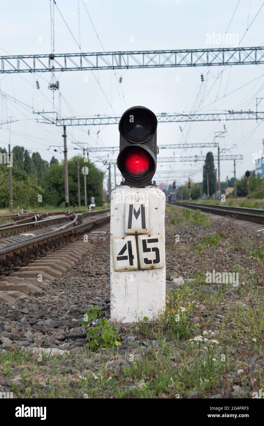 Semaphore plant hi-res stock photography and images - Alamy