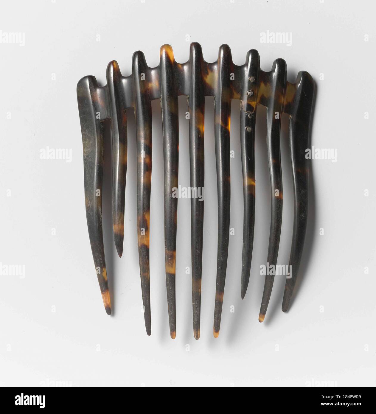 . Hair comb of turtle with narrow back on which a rounded pinacle above ...