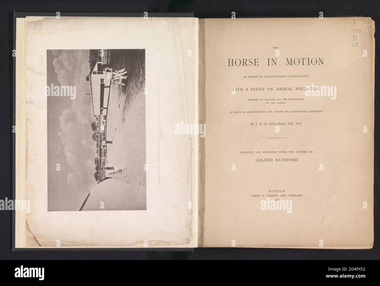 The horse in motion as shown by instantaneous photography with a study ...