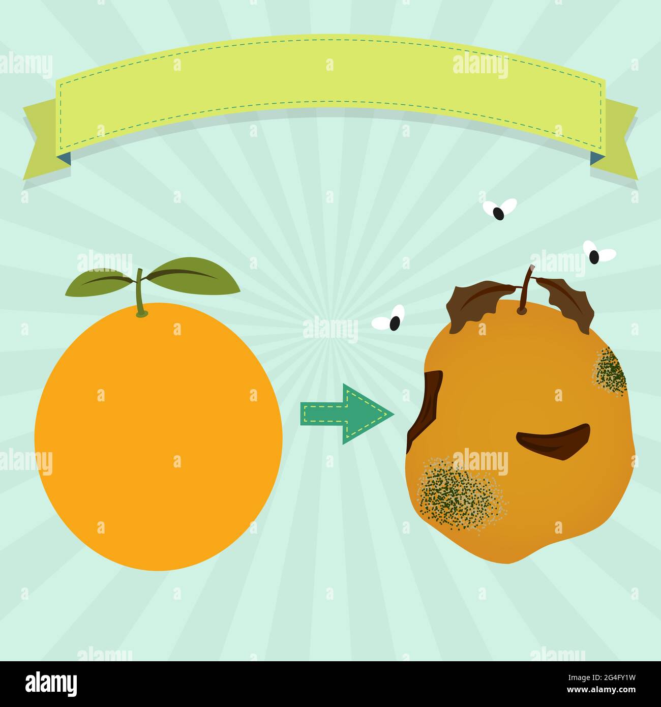 Fruits with fungal Stock Vector Images - Alamy