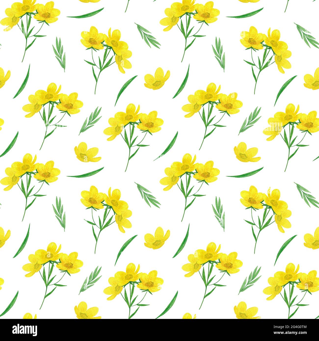 Hand drawn illustration buttercups hi-res stock photography and images ...
