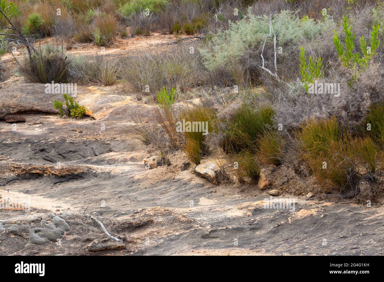 A dried out river bed in September 2017 on the Gifberg close to ...