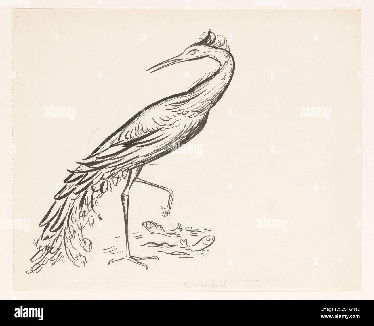 Sketch of a heron on the water Stock Photo - Alamy