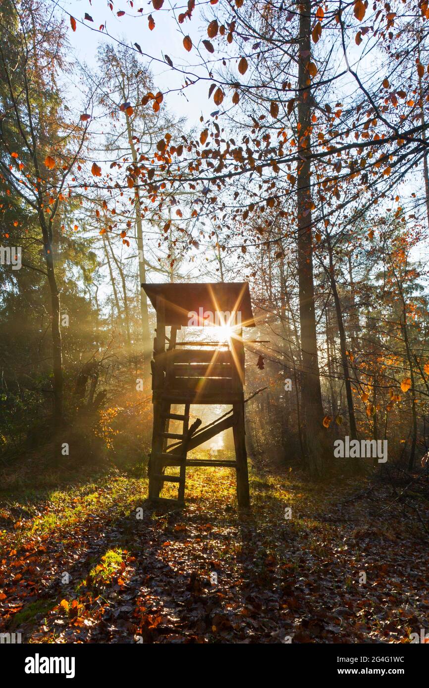 Raised hide / hunting blind / deerstand / deer stand and sunrays ...
