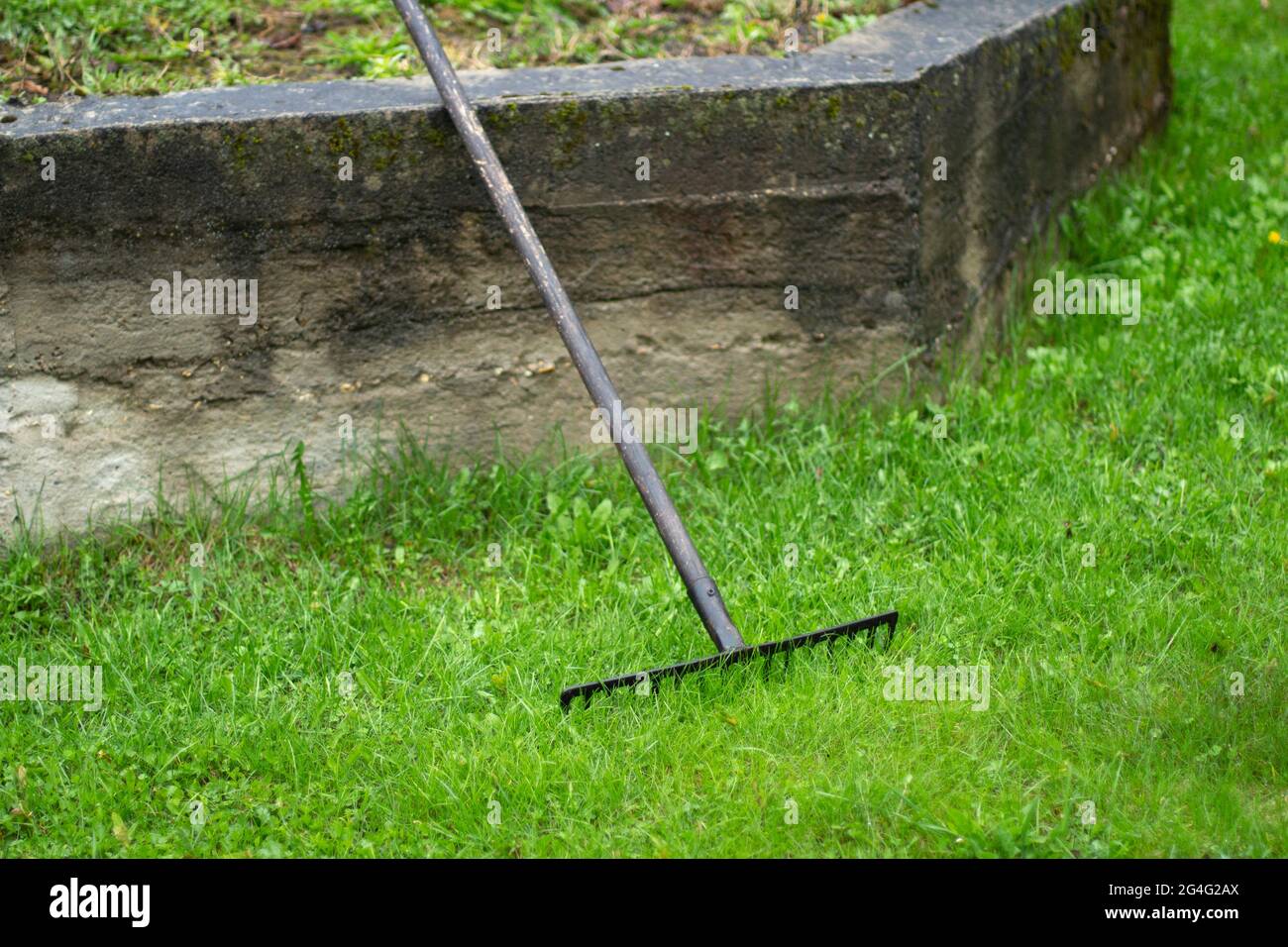 Lawn seed rake hi-res stock photography and images - Alamy