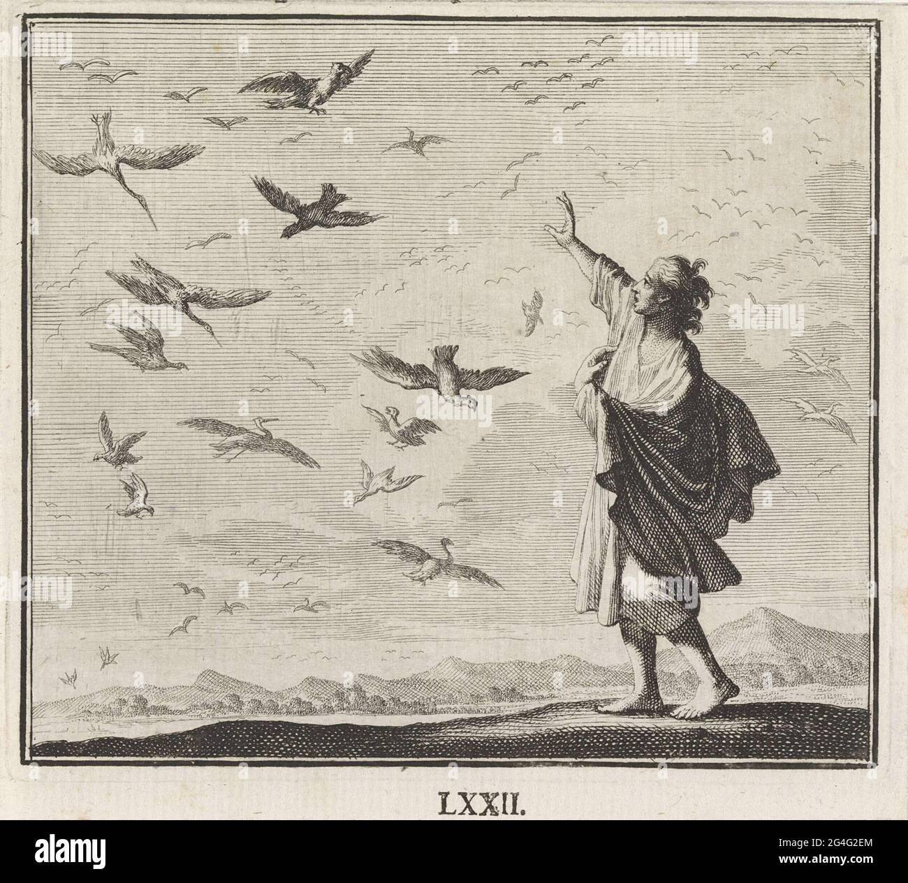 . A young man raises his hand and looks at numerous birds flying ...