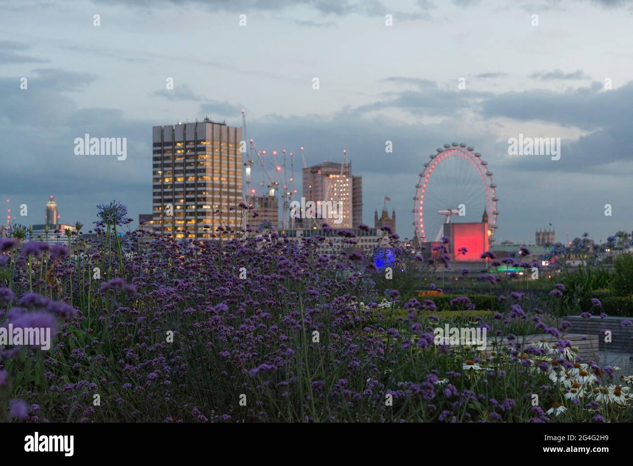 The Hachette roof garden overlooking the river Thames in London ...