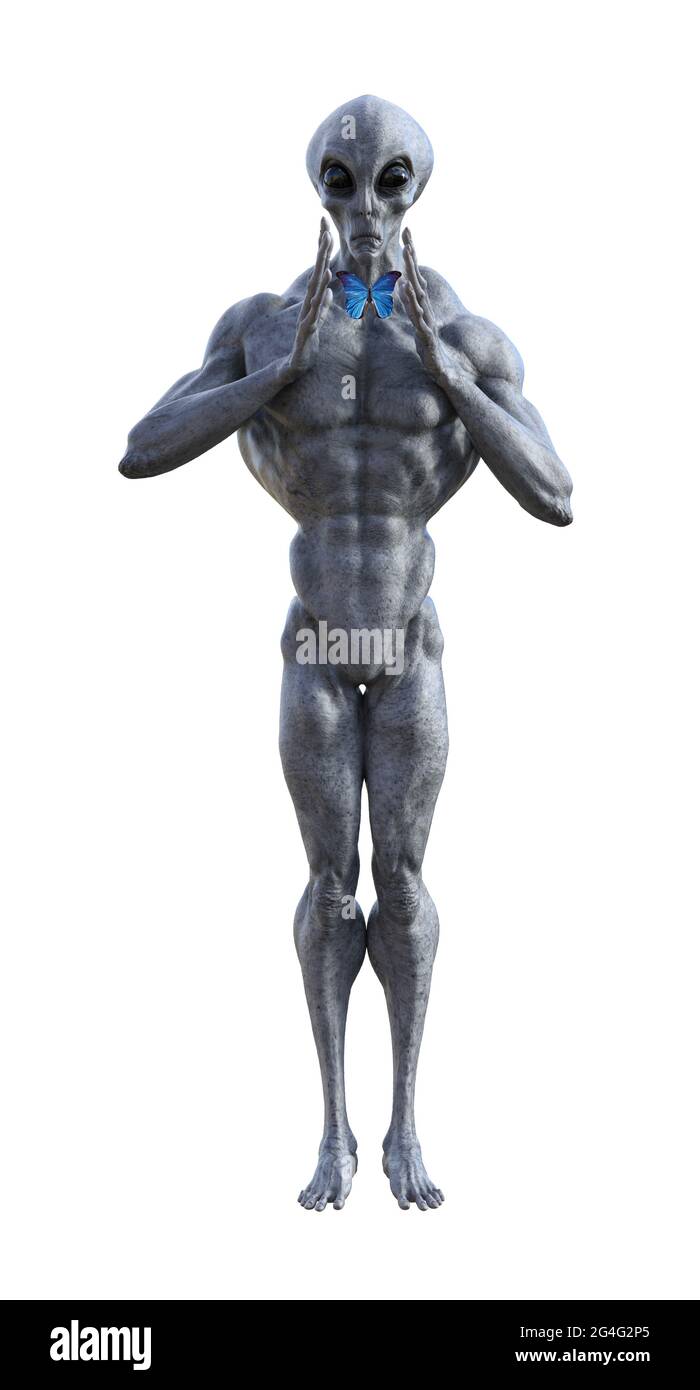 Bulky muscles hi-res stock photography and images - Alamy