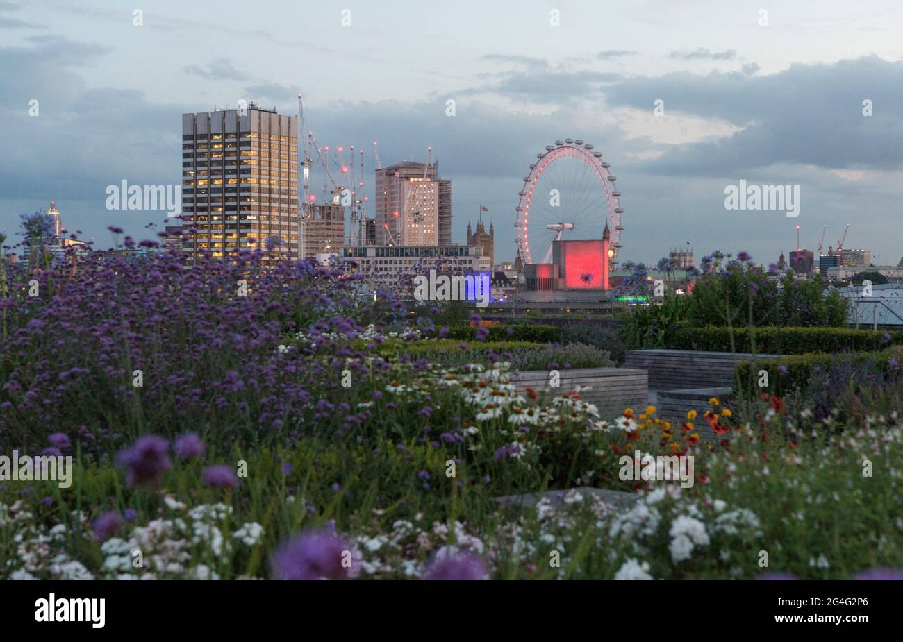 The Hachette roof garden overlooking the river Thames in London ...