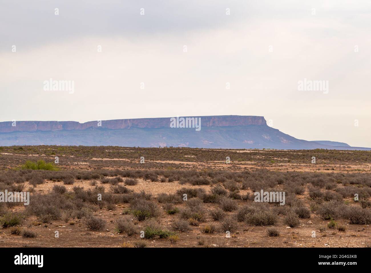 Panorama of the landscape close to Vanrhynsdorp with the Gifberg Stock ...