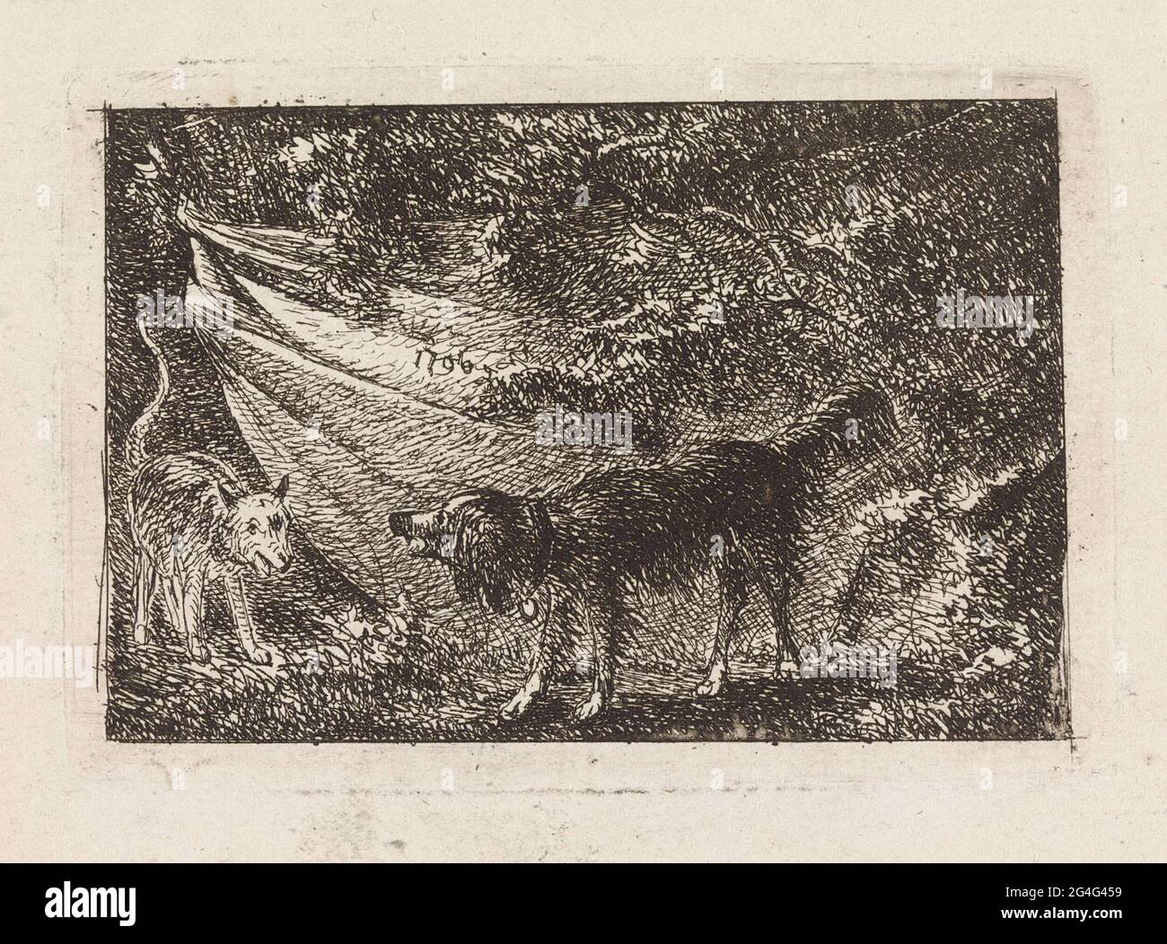 . Two dogs face each other for a cloth that seems to hang between the ...