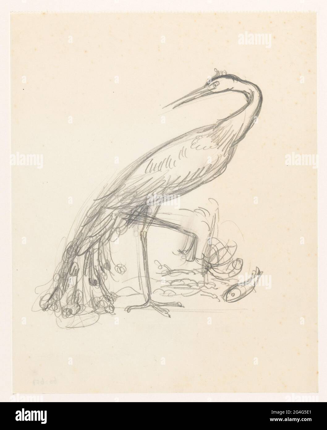 Sketch of a heron on the water Stock Photo - Alamy