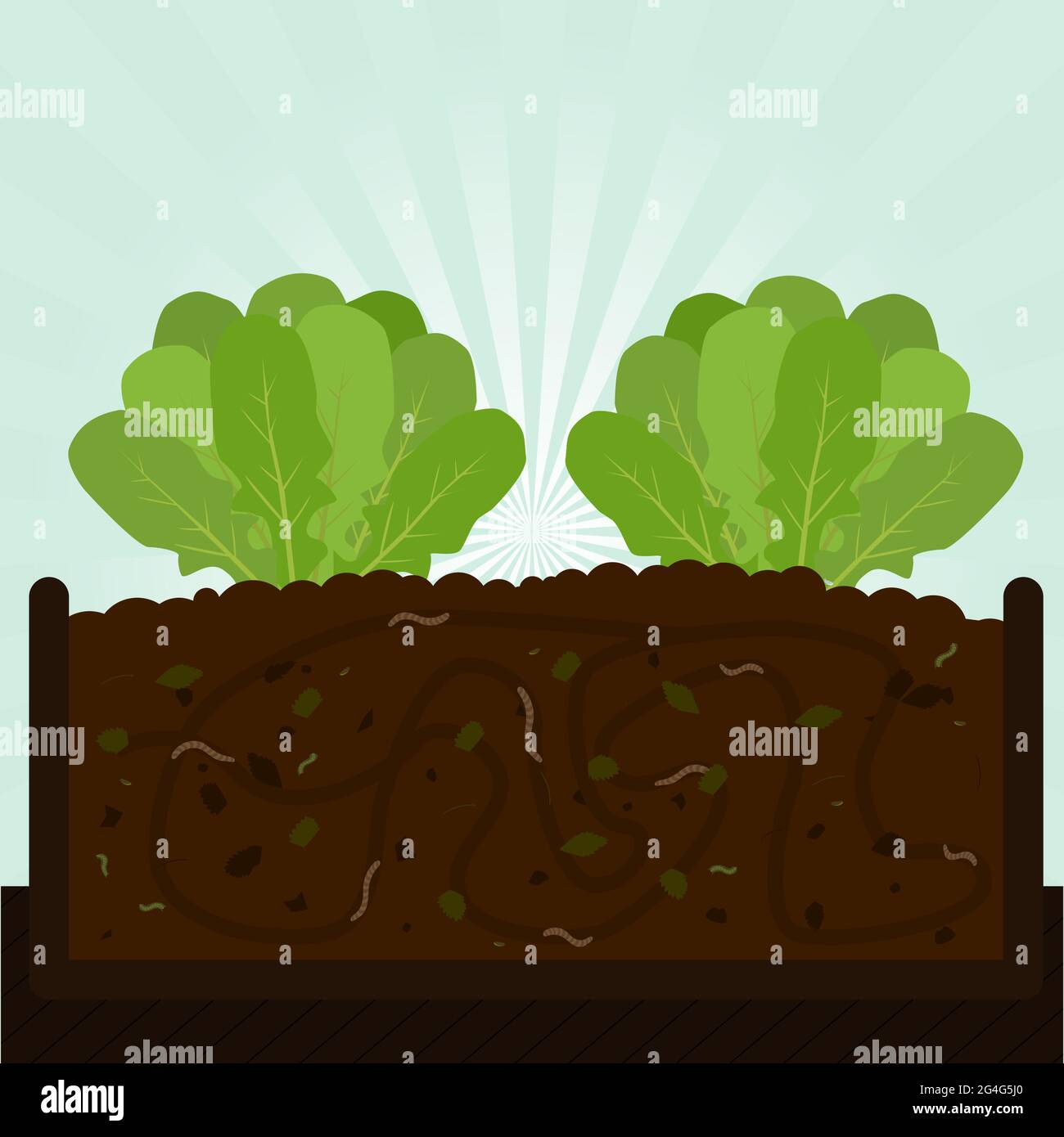 Composting process hi-res stock photography and images - Alamy