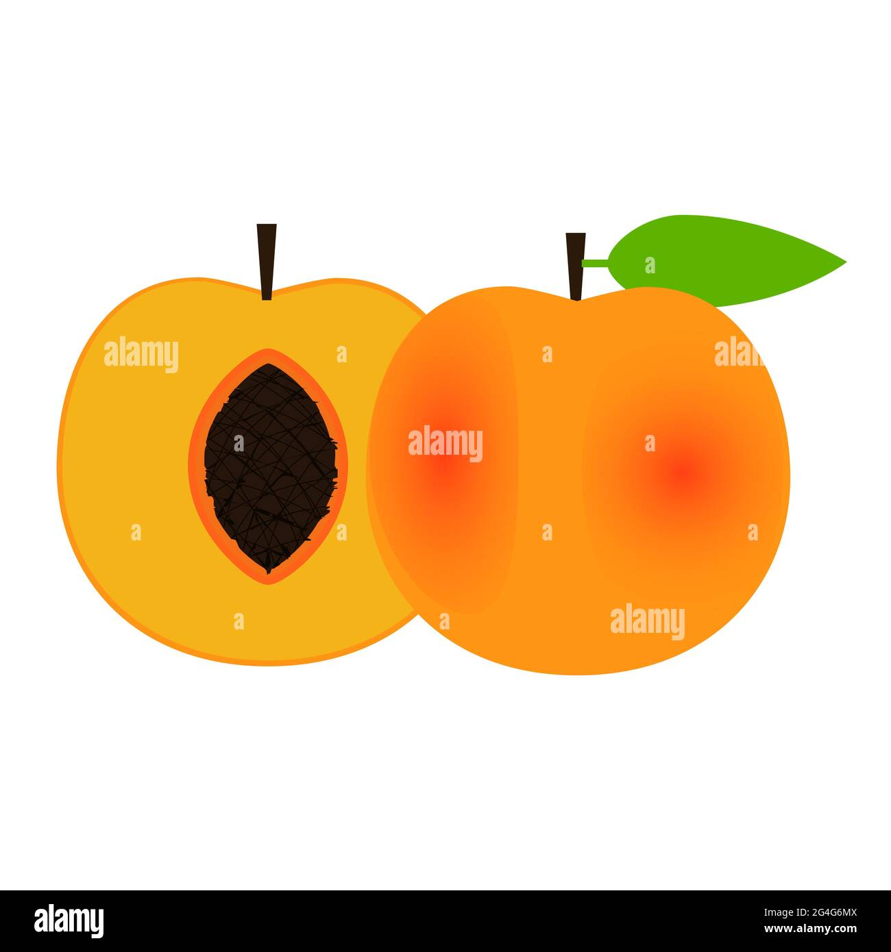 Sliced and whole peach. White background. Isolated Stock Vector Image ...