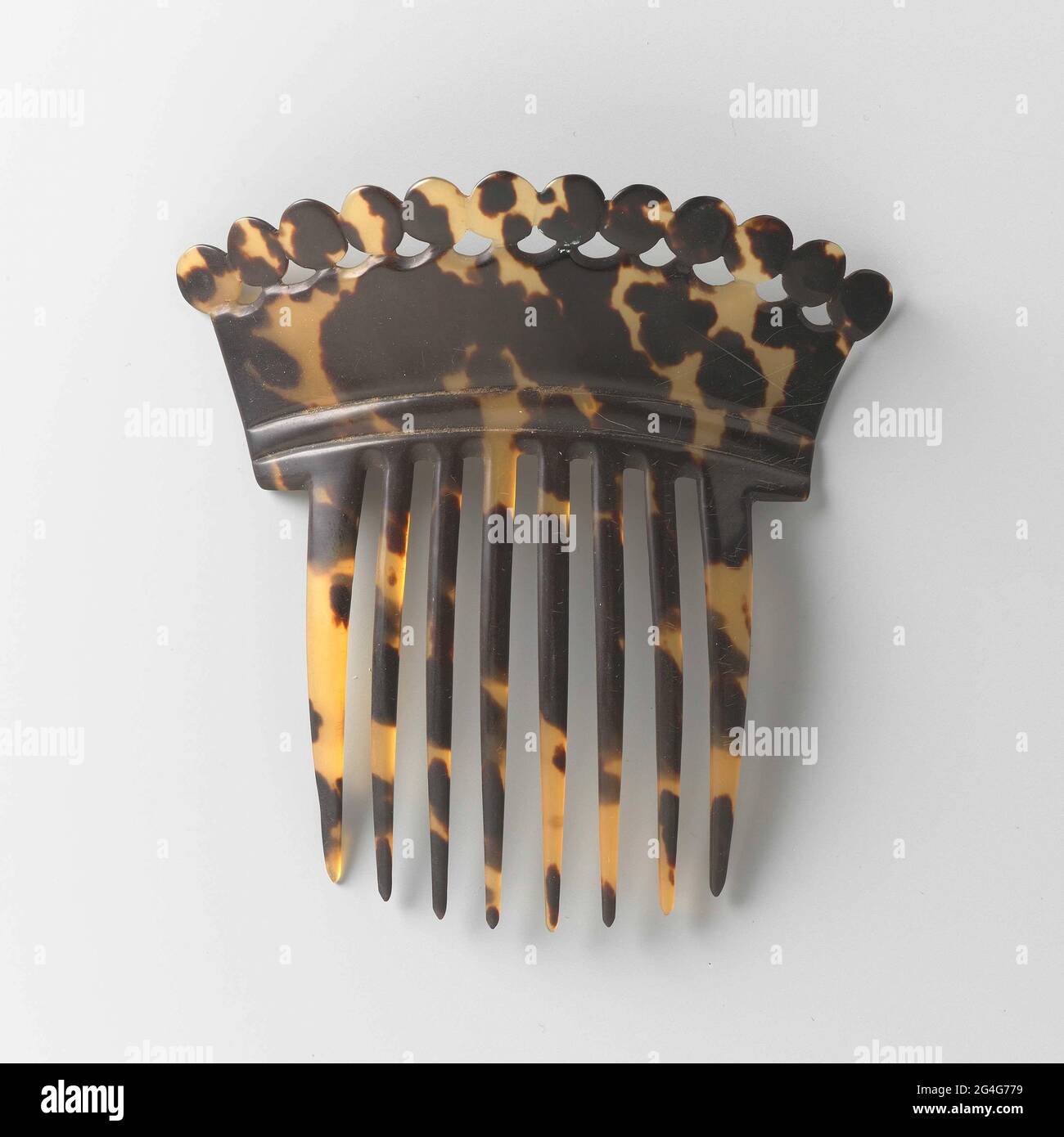 . Hair comb of turtle with smooth back on which twelve connected ...