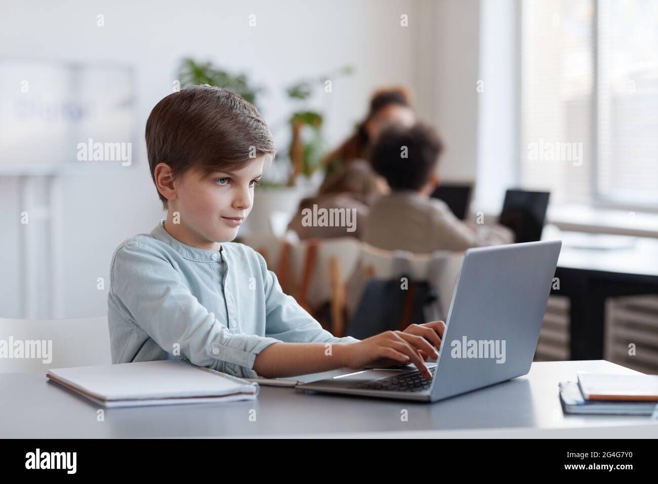 Side view portrait of young schoolboy using laptop during IT class ...