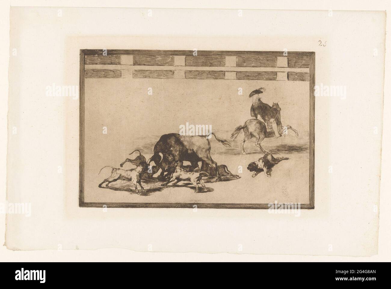 Bull attacked by dogs; Echan Perros Al Toro; Bullfighting; La ...