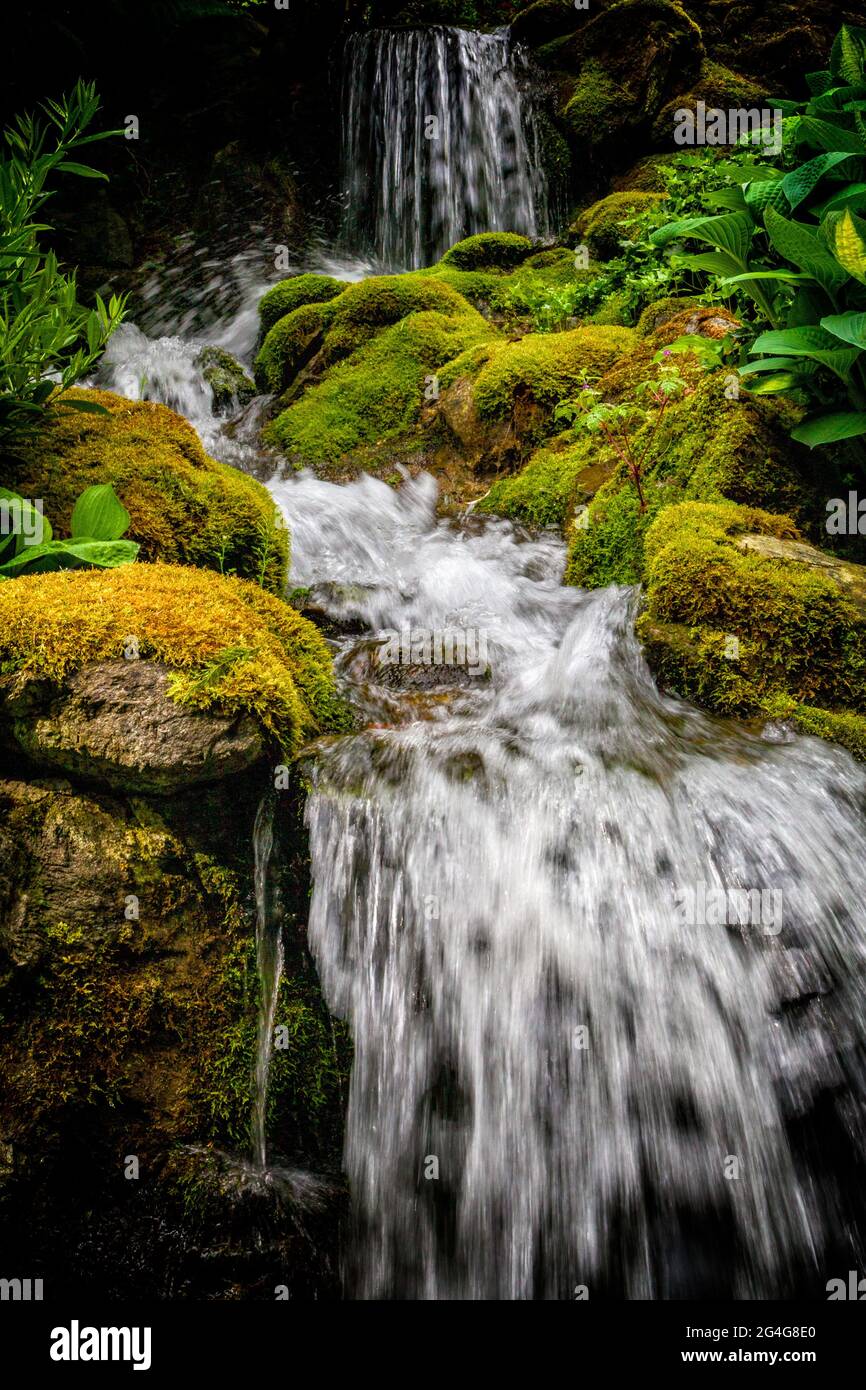 waterfall and stream of water through the mossy rocks Stock Photo - Alamy